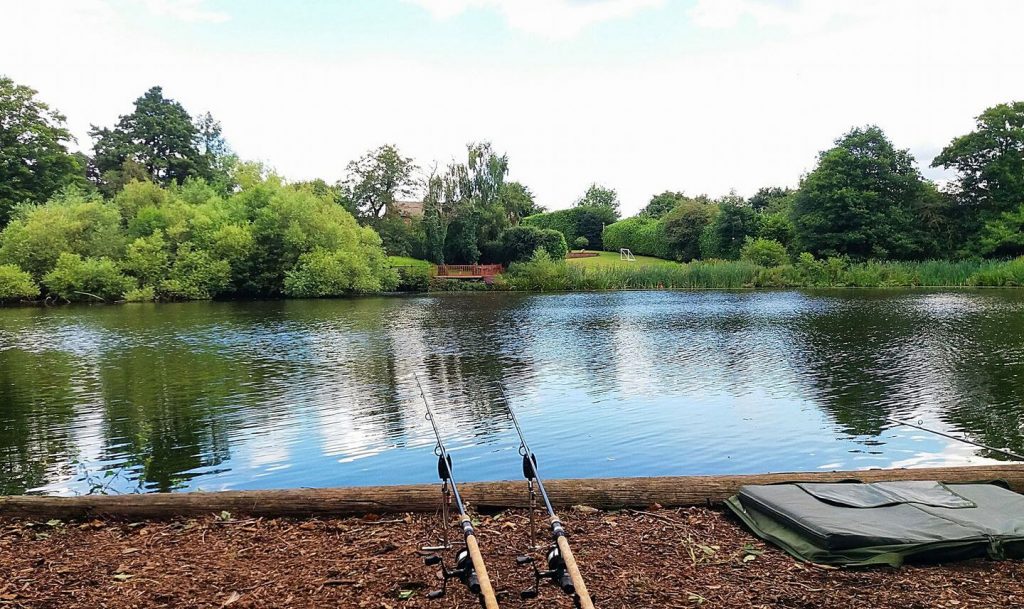 Gallery – Winterley Pool Fishery