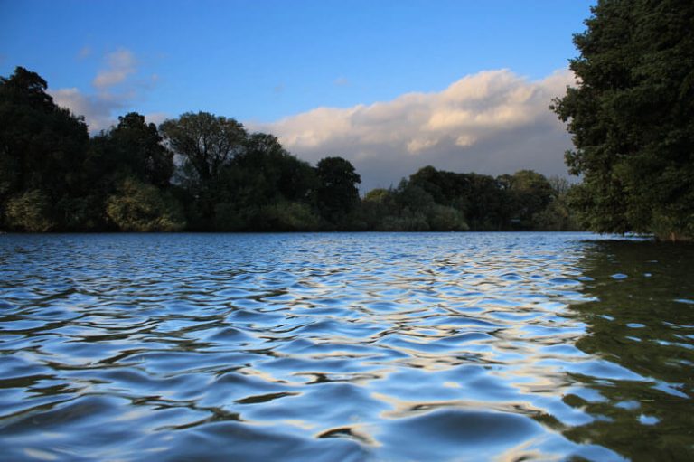 Winterley Pool Fishery – Crewe Road, Winterley